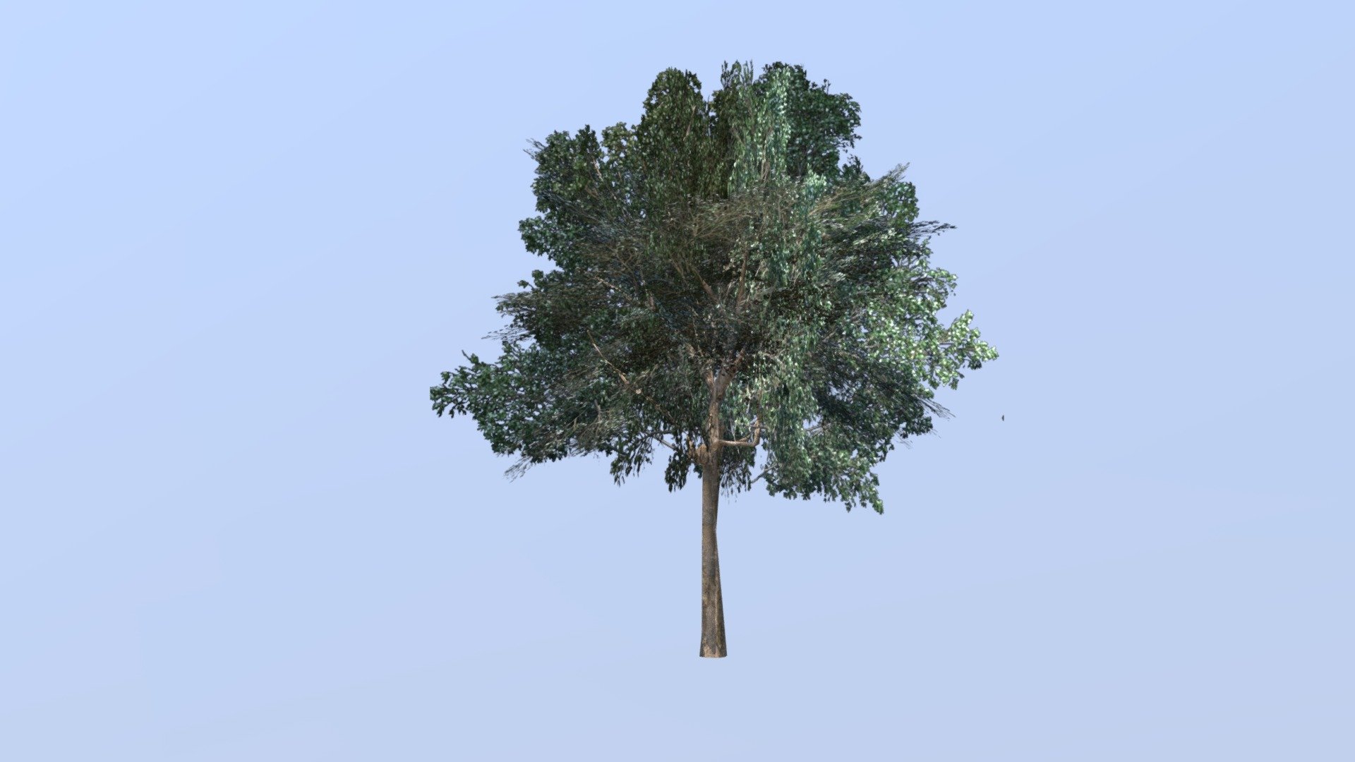 Tree2 - 3D model by denny911 [d247d9e] - Sketchfab