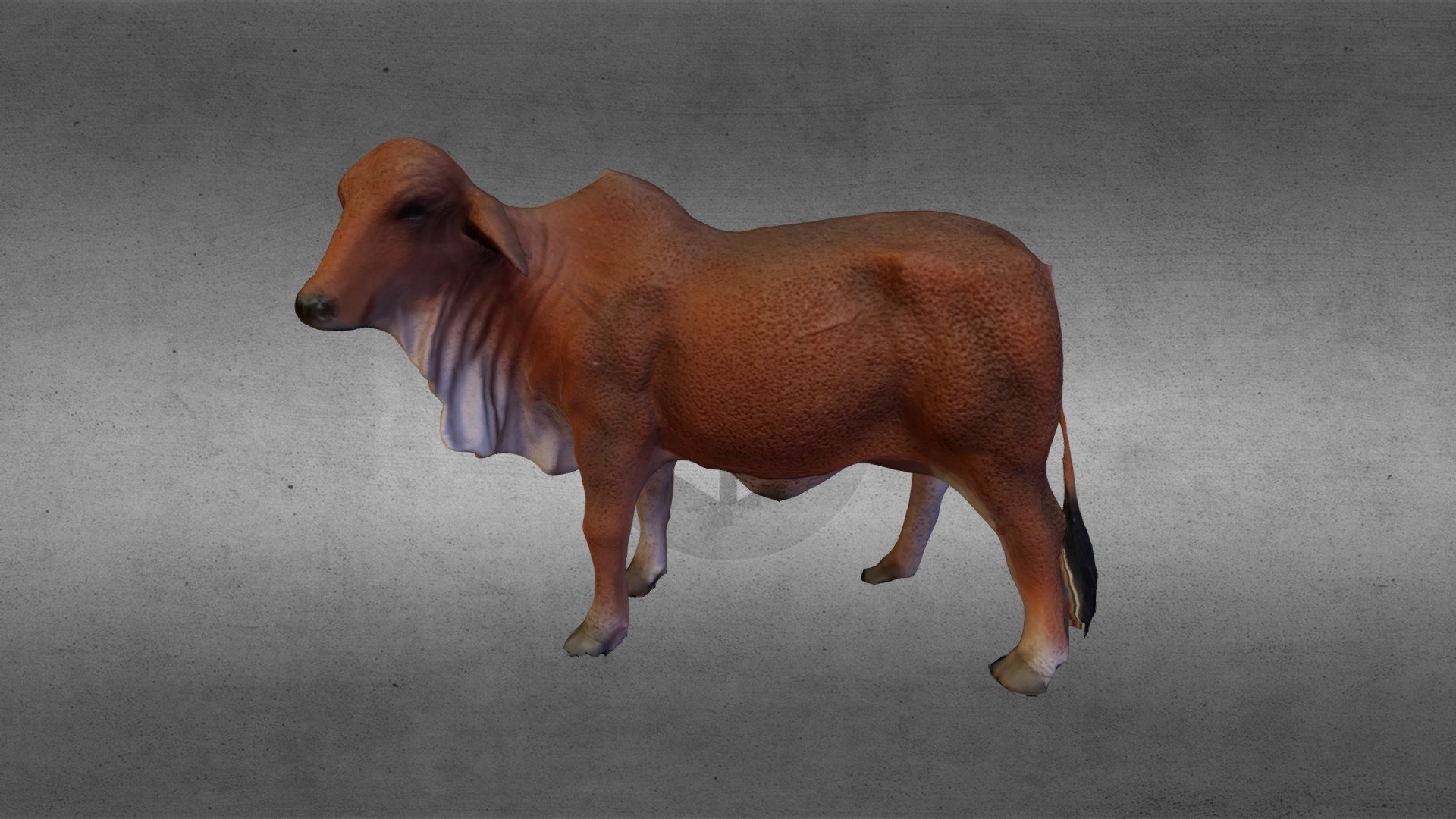 Cow - 3D model by airguy [d248c6a] - Sketchfab