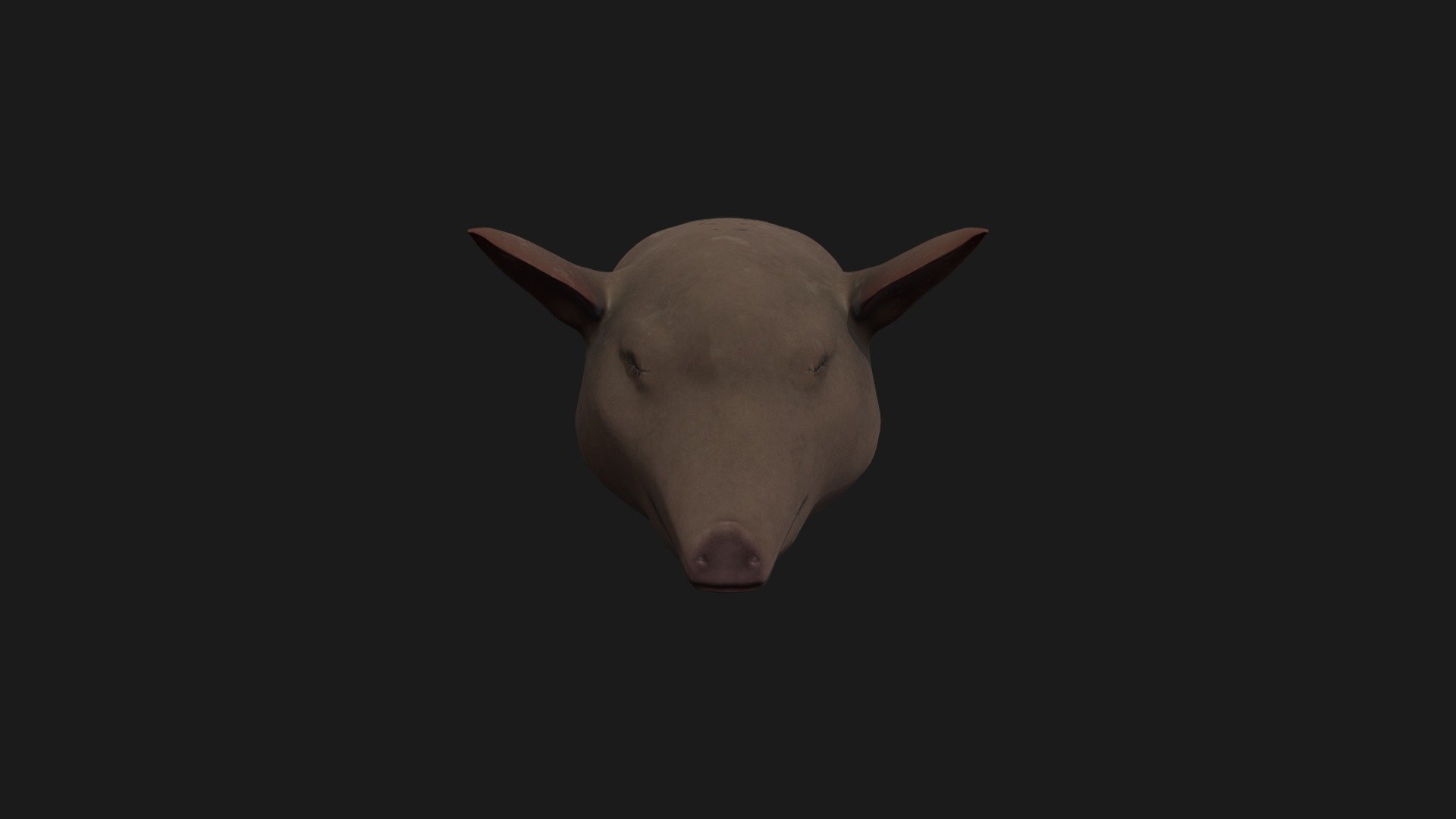 Pig Head - 3D model by Amy Flanagan (@AmyFlanagan) [d24ebbb] - Sketchfab