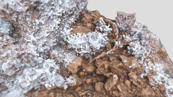 Salt 3D models - Sketchfab
