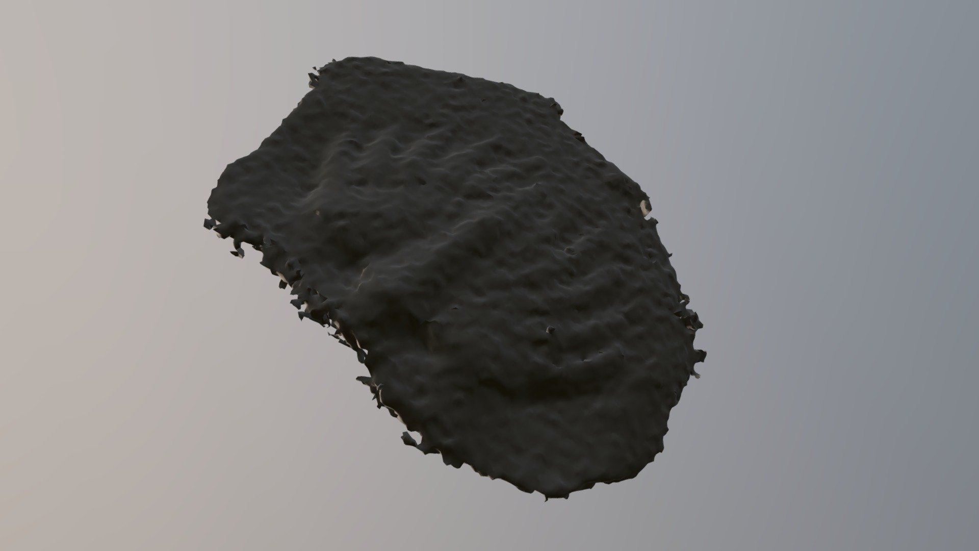3D Scan of Fossil - 3D model by erik3_go (@erikgaroyo) [d254157 ...