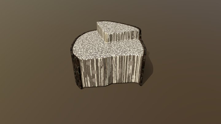 Angiosperm 3D models - Sketchfab