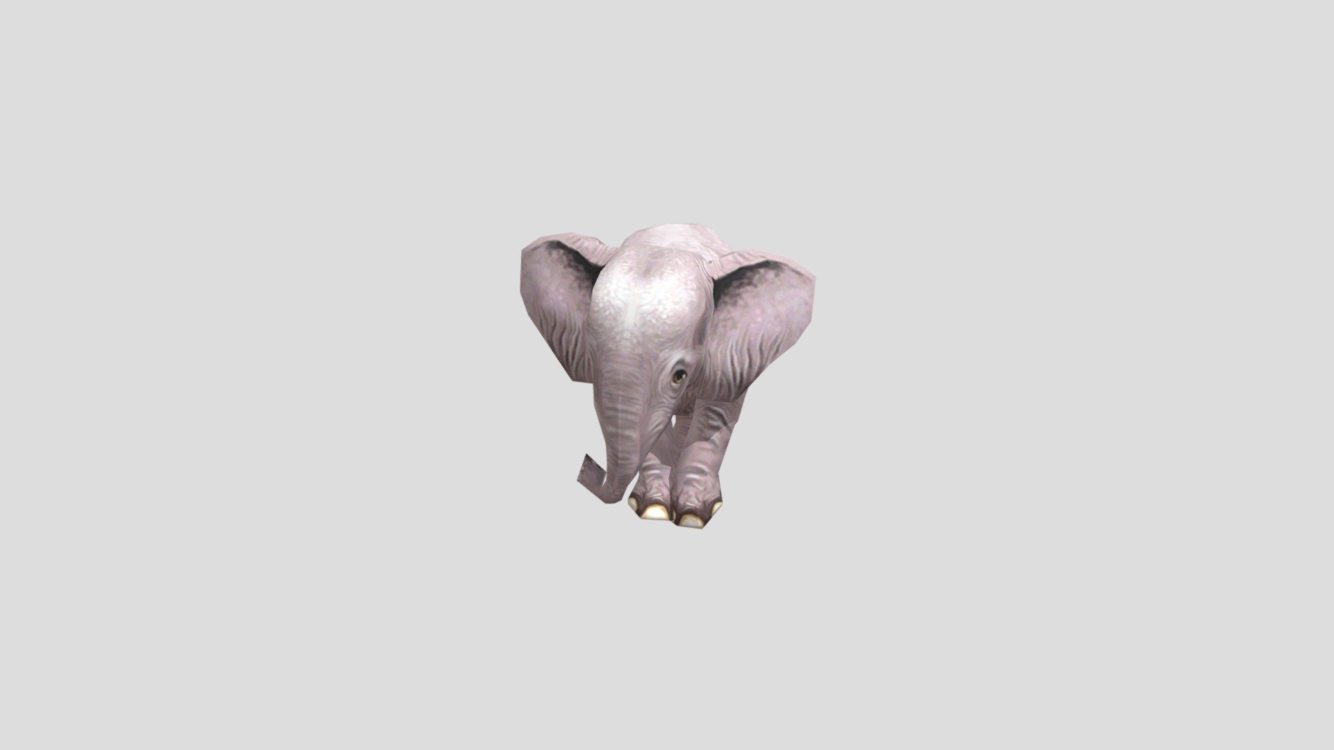 African Elephant Young (Zoo Tycoon 2) - Download Free 3D model by ...