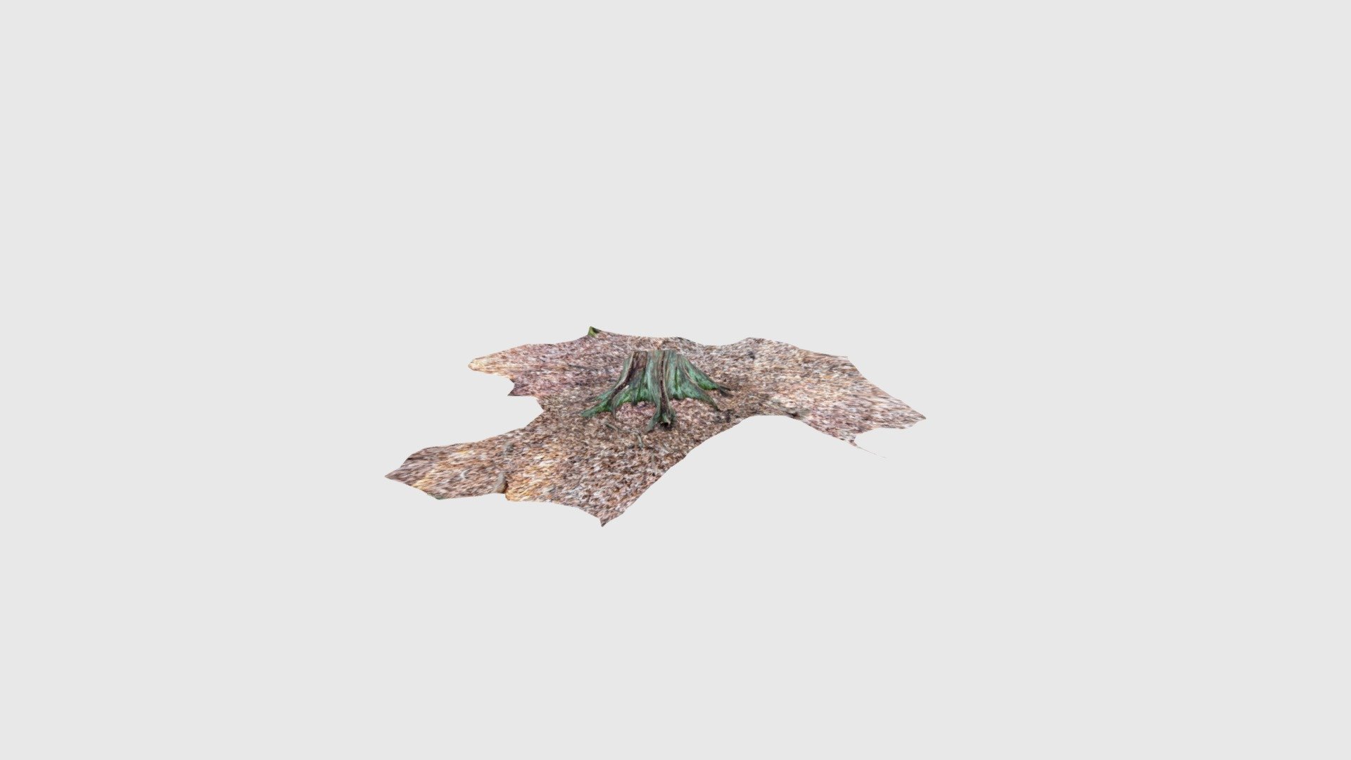 Old tree - Download Free 3D model by SBAKS52 [d26526f] - Sketchfab