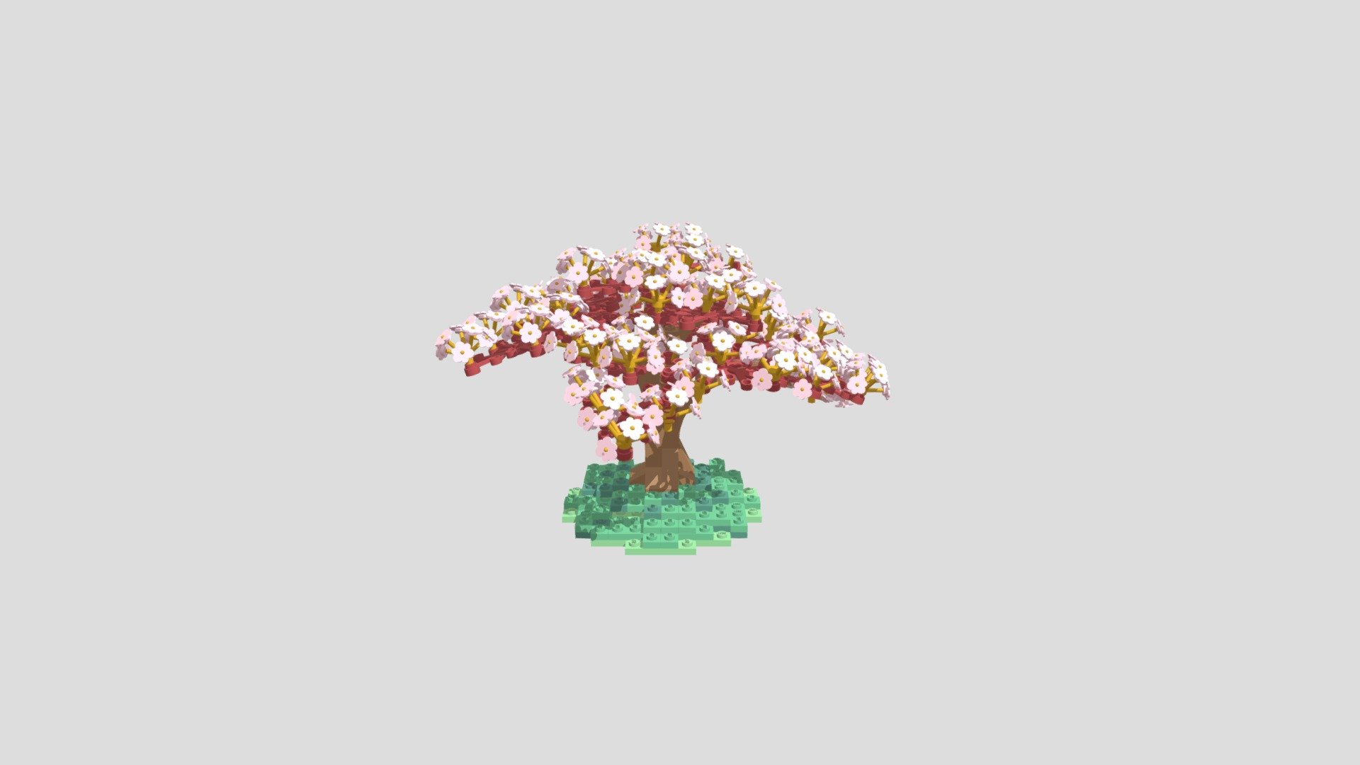 sakura - 3D model by fsfs0455 [d268b7d] - Sketchfab
