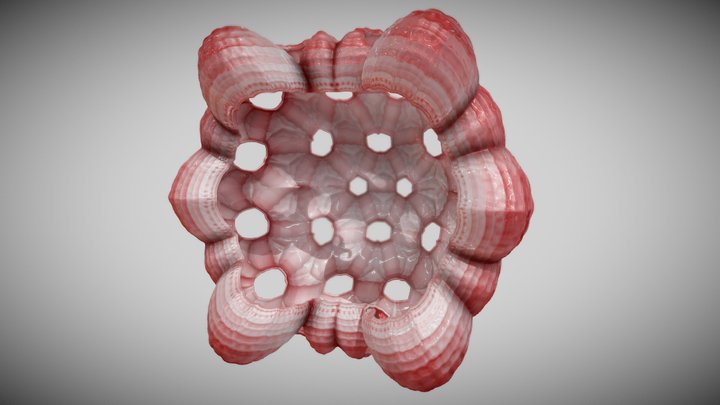 Glsl 3D models - Sketchfab