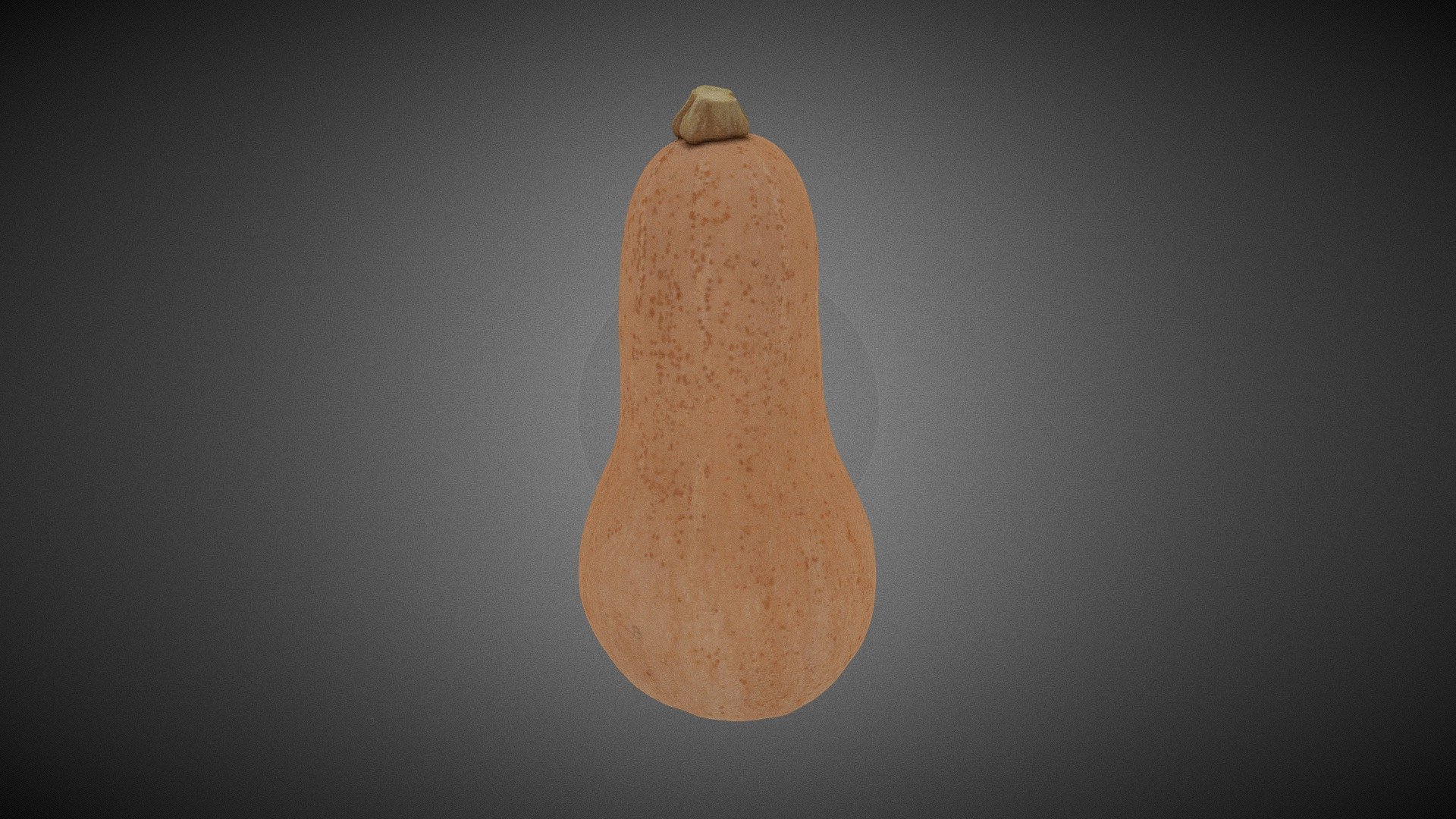 Butternut Squash - Download Free 3D model by NAMAHAGE 120% (@hiroyuki ...