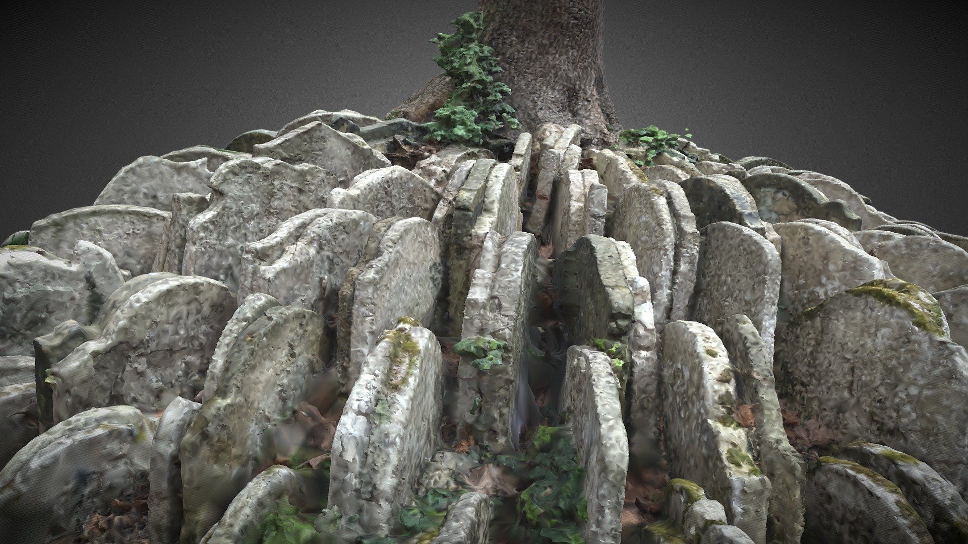 Gravestones at the base of the Hardy Tree - Download Free 3D model by ...