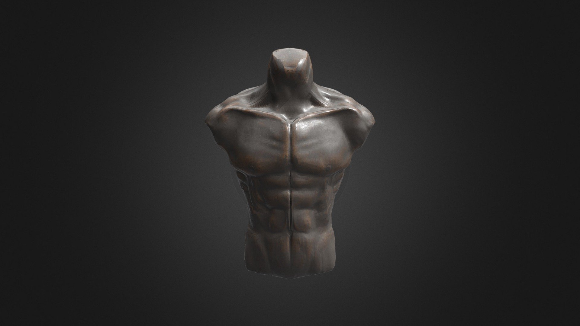 Torso Study - Download Free 3D model by trycatch3d [d27d8db] - Sketchfab