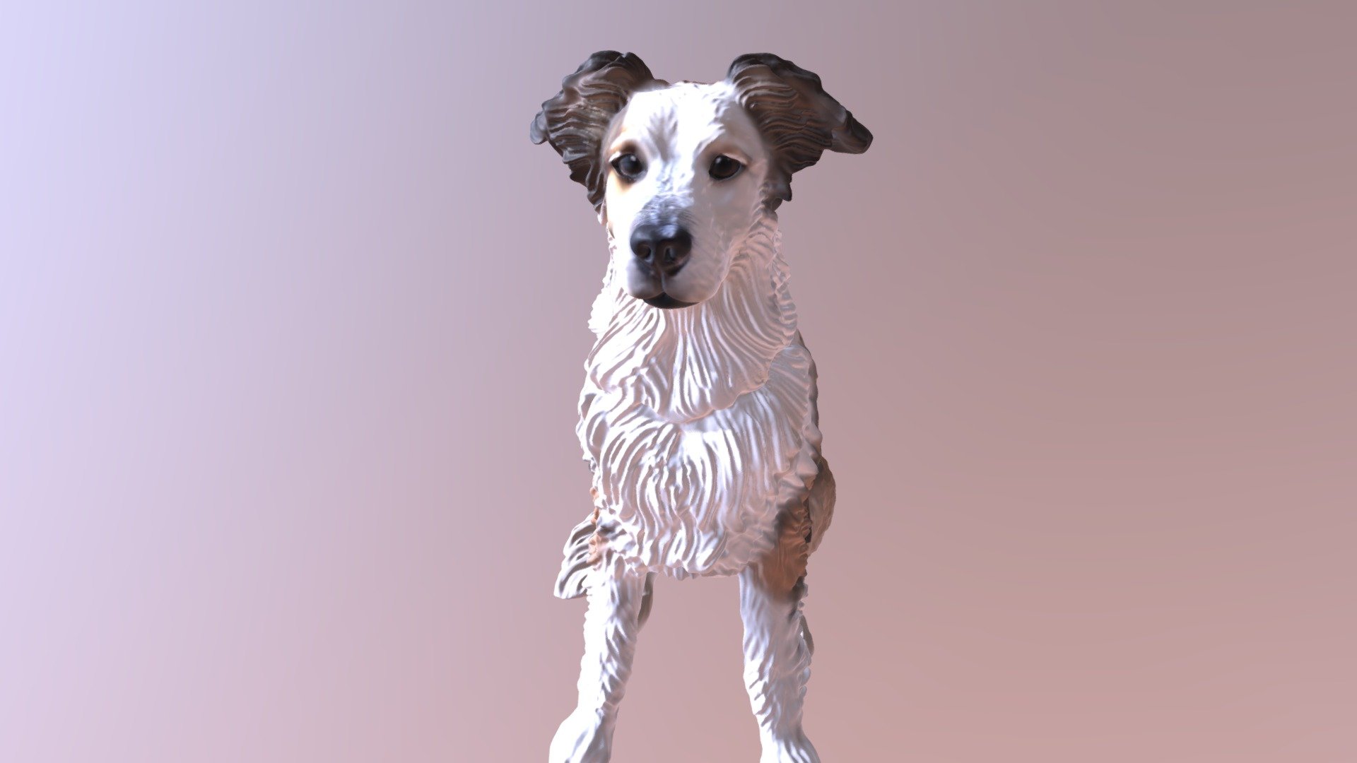 1811002- Holly- Border Collie V2 - 3D model by Arty Lobster - Pet ...