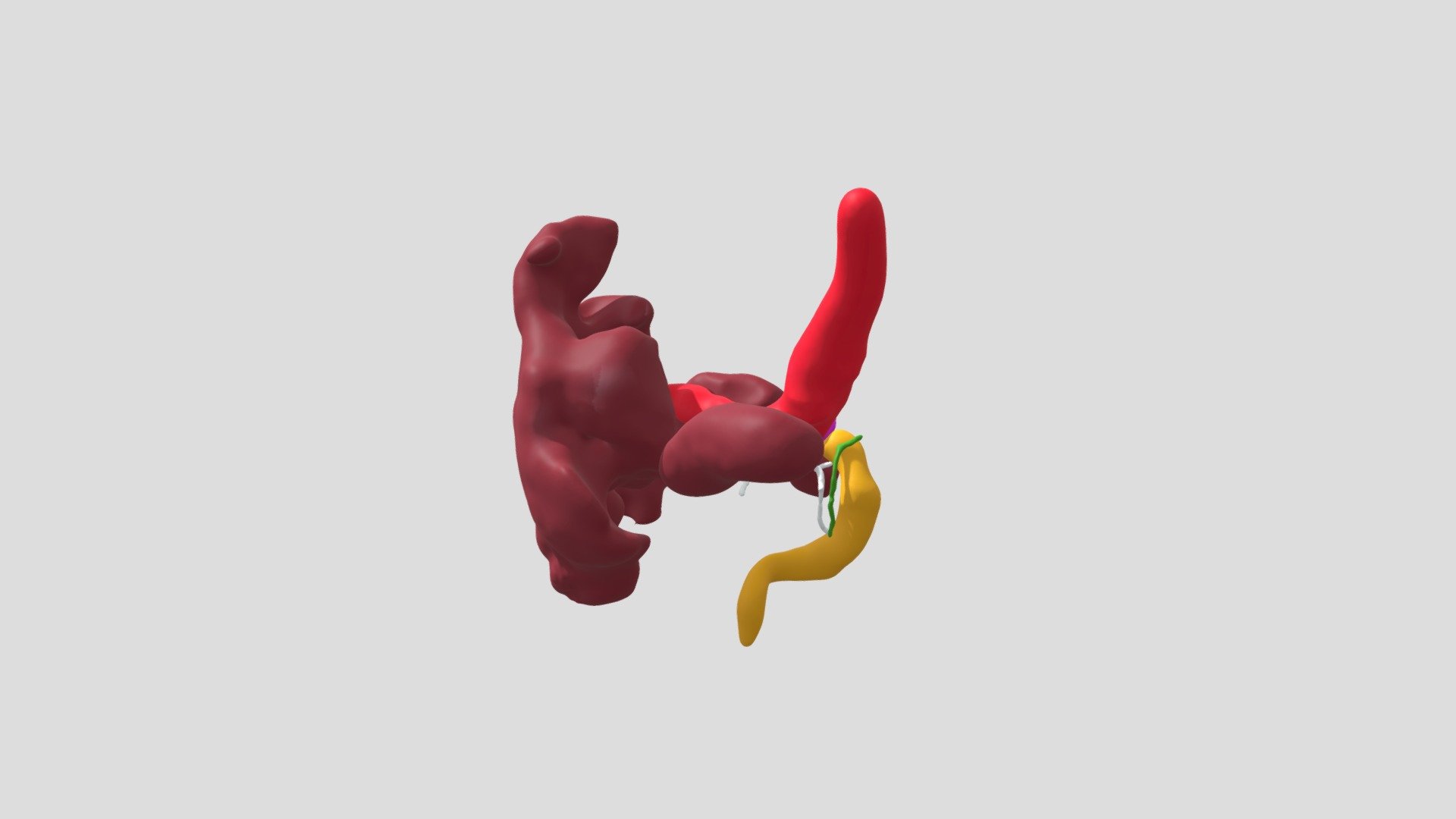 C__001_L_R_O3 - 3D model by SurgiPrint [d29a089] - Sketchfab