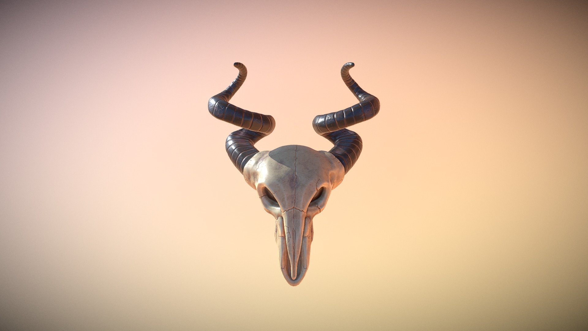 Ram Skull - 3D model by Ray Weiler (@562interactive) [d29b1cb] - Sketchfab