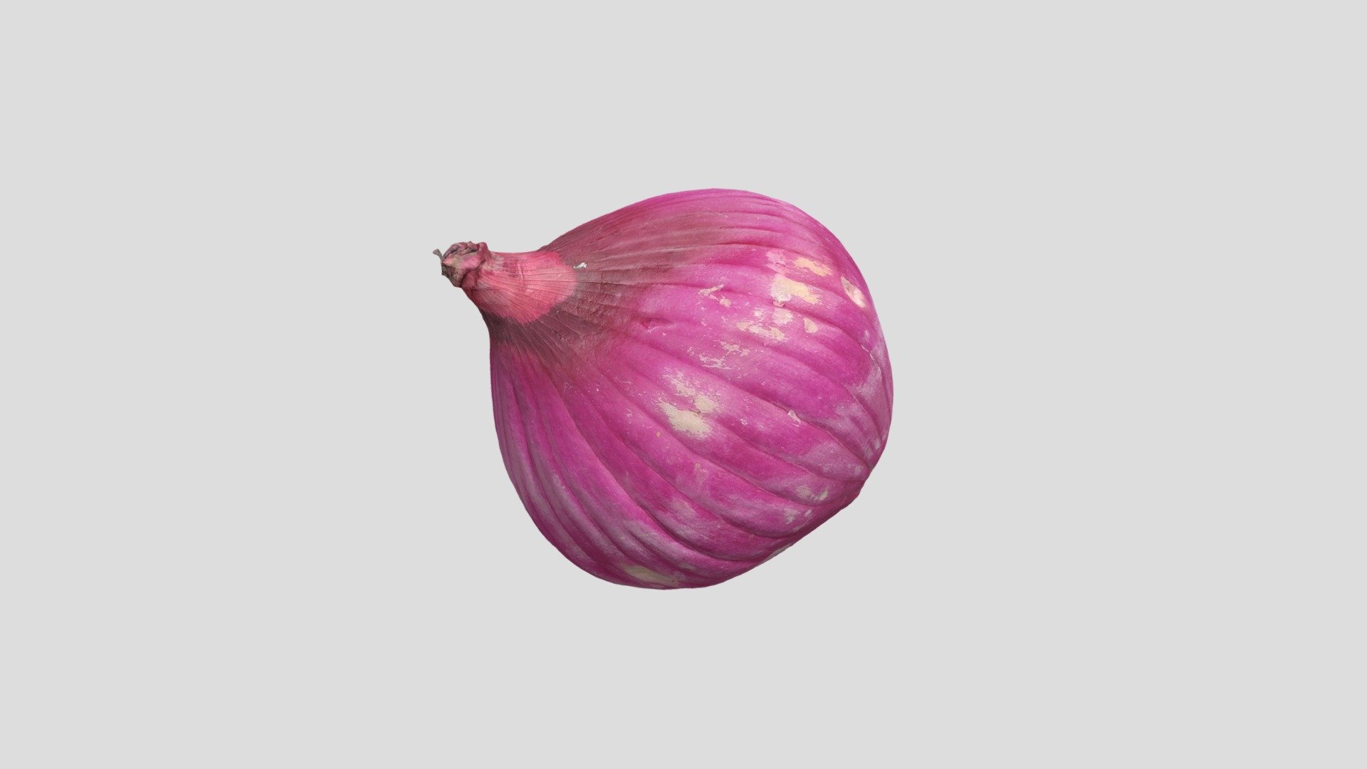 onion - Download Free 3D model by LAULEOI (@nevergiveuplsy) [d2a246f] - Sketchfab