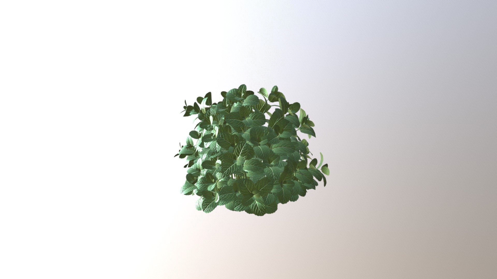 Mint - 3D model by Virtual Reality (@simulanis) [d2a53f2] - Sketchfab
