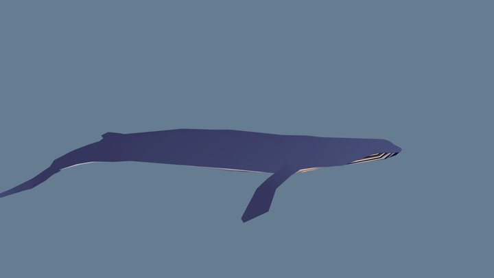 Rorqual 3D models - Sketchfab