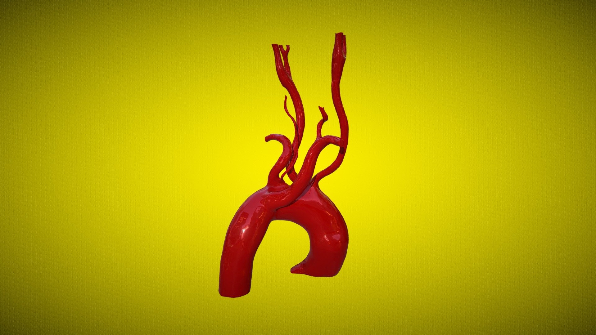 Aortic Arch - 3D model by Plamen Peev (@plam3n) [d2ae59f] - Sketchfab