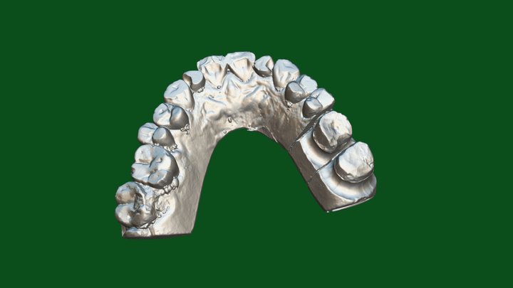 Grillz 3D models - Sketchfab