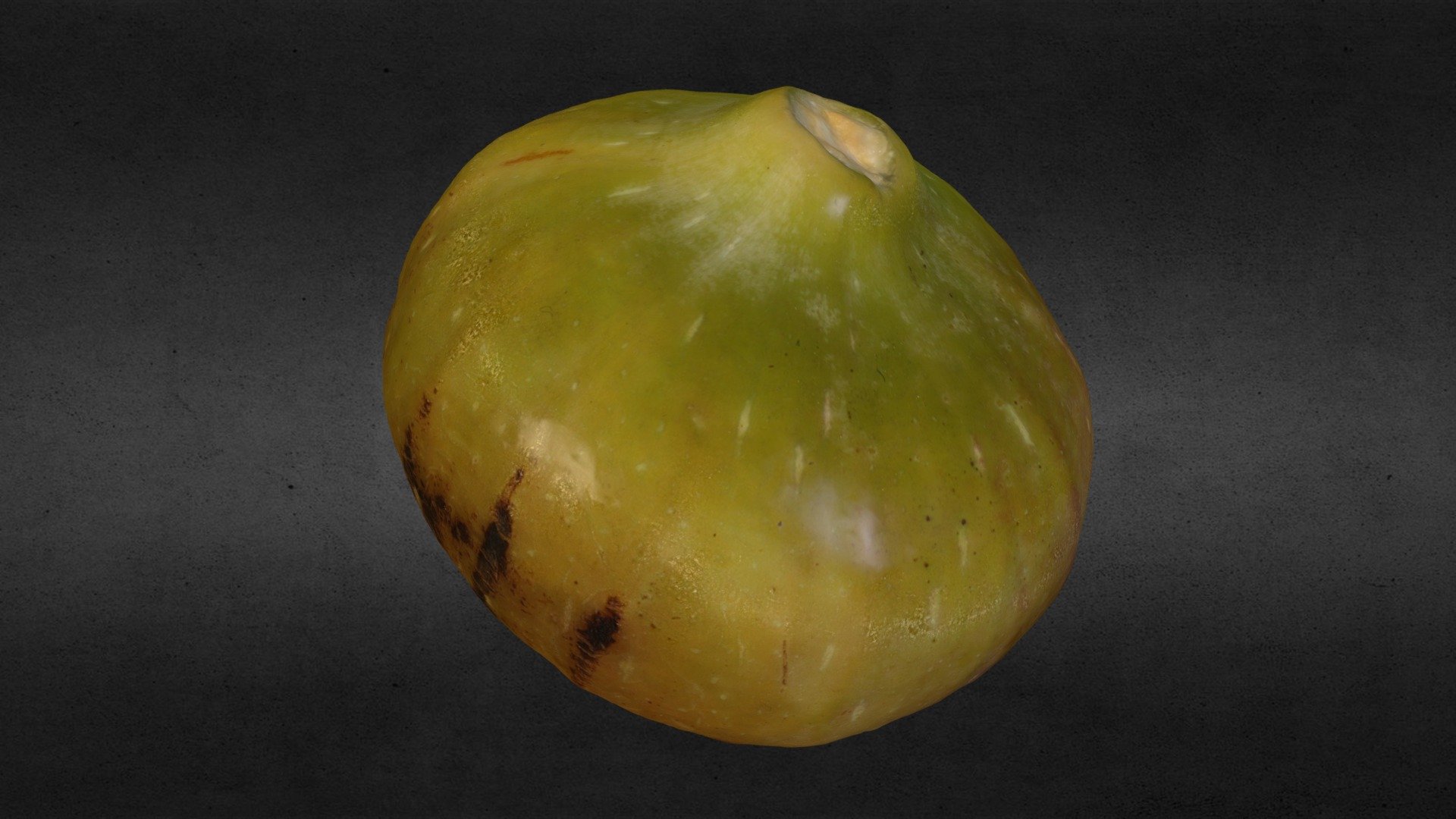 Fig_3D_Photogrammetry - 3D model by Hipervision.eu (@MarkoV) [d2ba4c6 ...