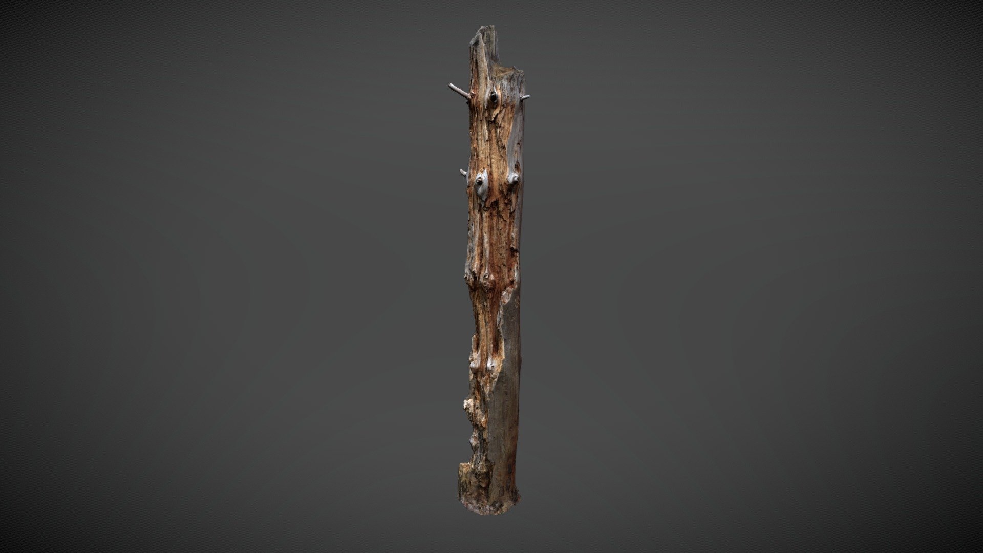 Dead tree 3d scan (SNA0002) - Buy Royalty Free 3D model by 3drille ...