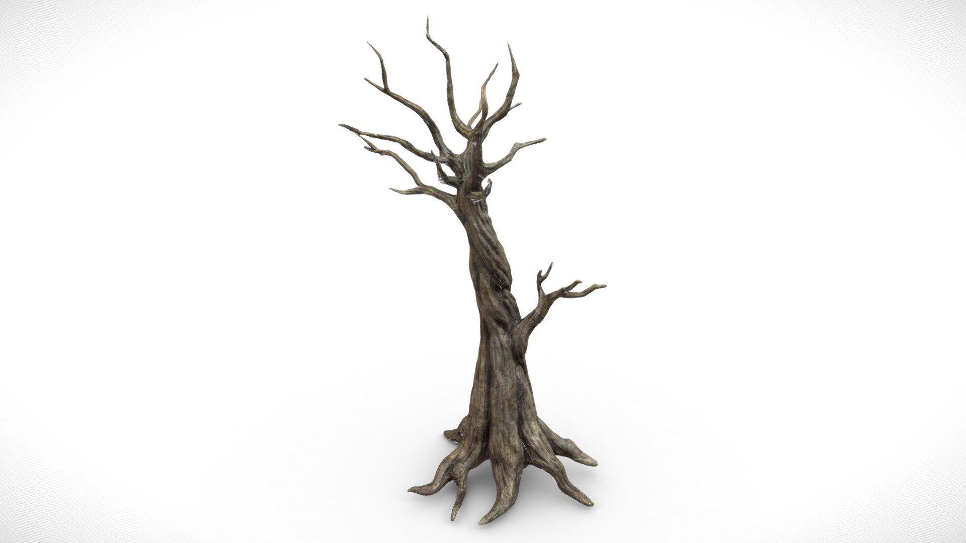 Fantasy Dark Forest Tree G - Scary - 4k - Buy Royalty Free 3D model by ...