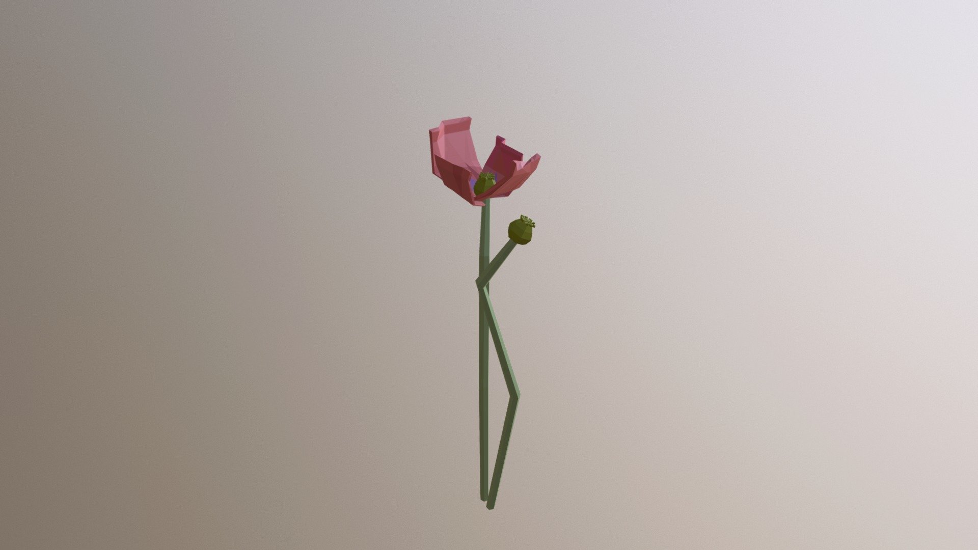 poppy - Download Free 3D model by gashtan [d2cafd7] - Sketchfab