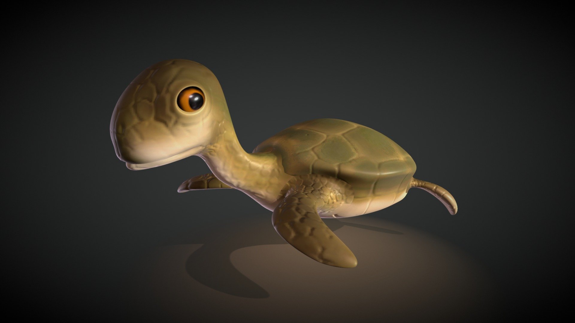 turtle - 3D model by Alexandr59 [d2d2410] - Sketchfab