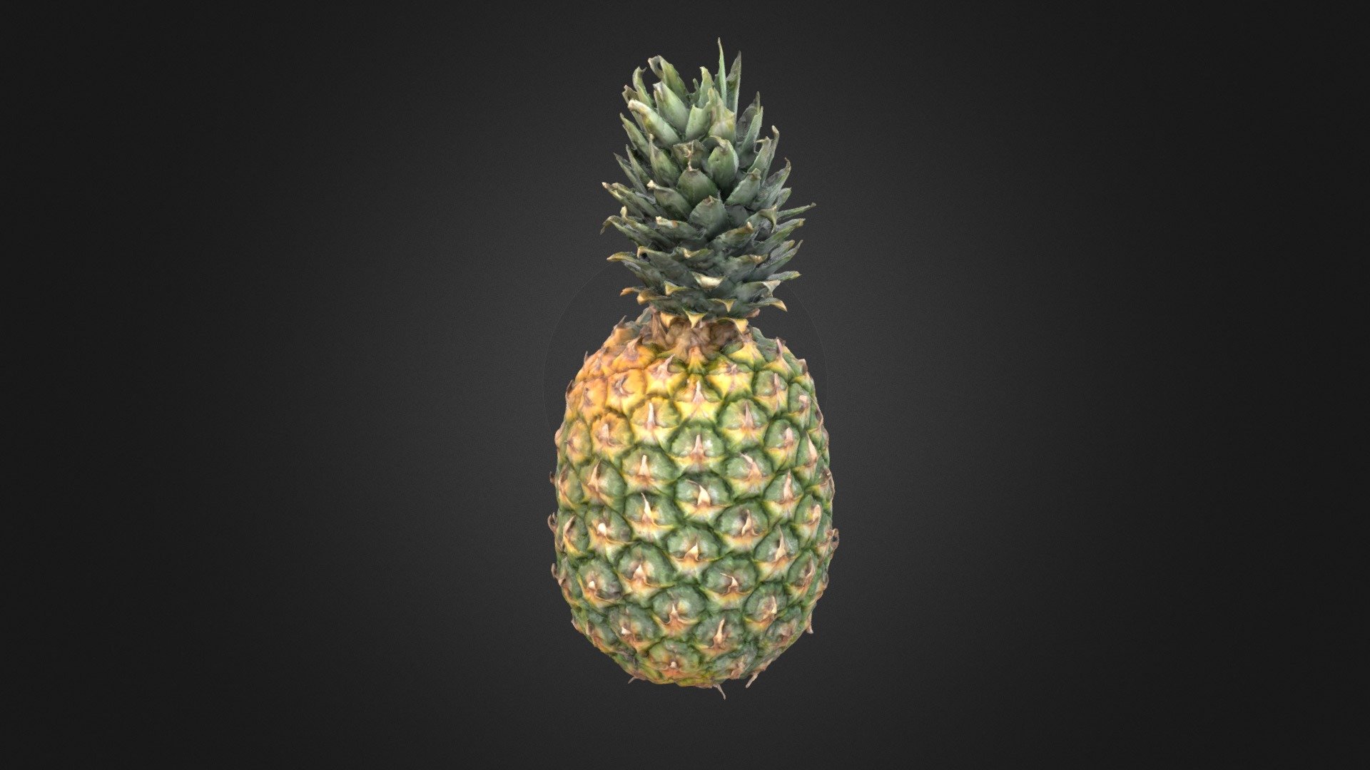 Pineapple - 3D model by Gianluca Gatto (@shockproof) [d2e1f37] - Sketchfab