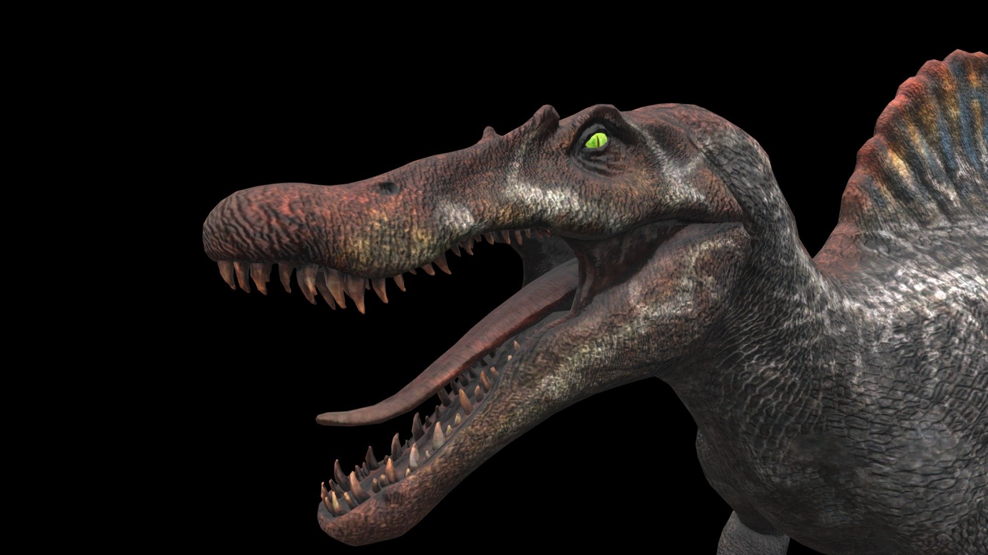 Spinosaurus - 3D model by Spider (@alanoliveiramav) [d2e87f7] - Sketchfab