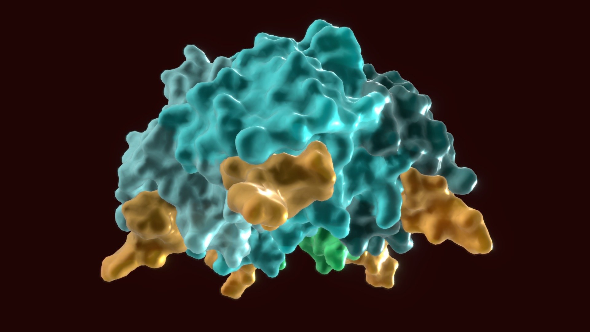 Cholera toxin and Ganglioside GM1 - Download Free 3D model by axonology ...