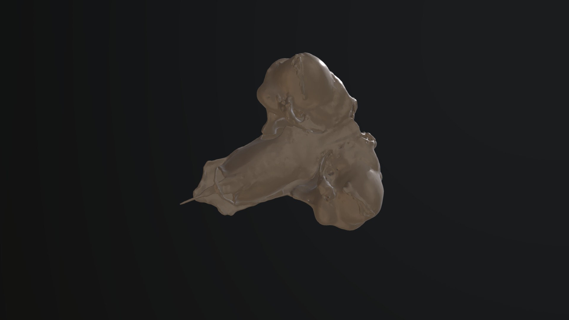 Xenopus longipes neurocranium - 3D model by Blackburn Lab (@ufherps ...