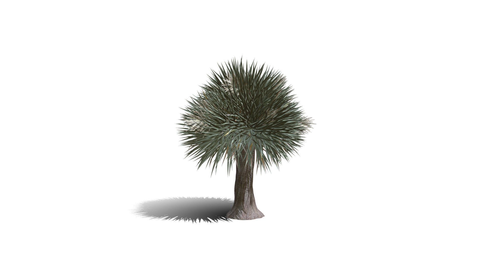 Realistic HD Dragon tree (8/50) - Download Free 3D model by ...