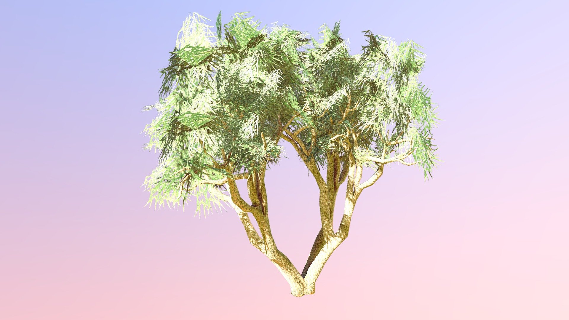 africansumac - Download Free 3D model by moonbrosproductions [d2fe09d ...