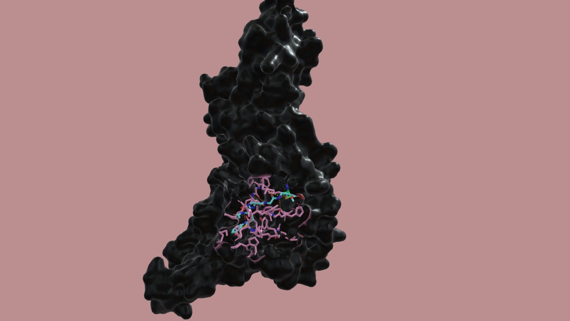 SARS-CoV-2 Papain-Like Protease vs VIR250 - Download Free 3D model by tarranmitc [d2ff72d ...
