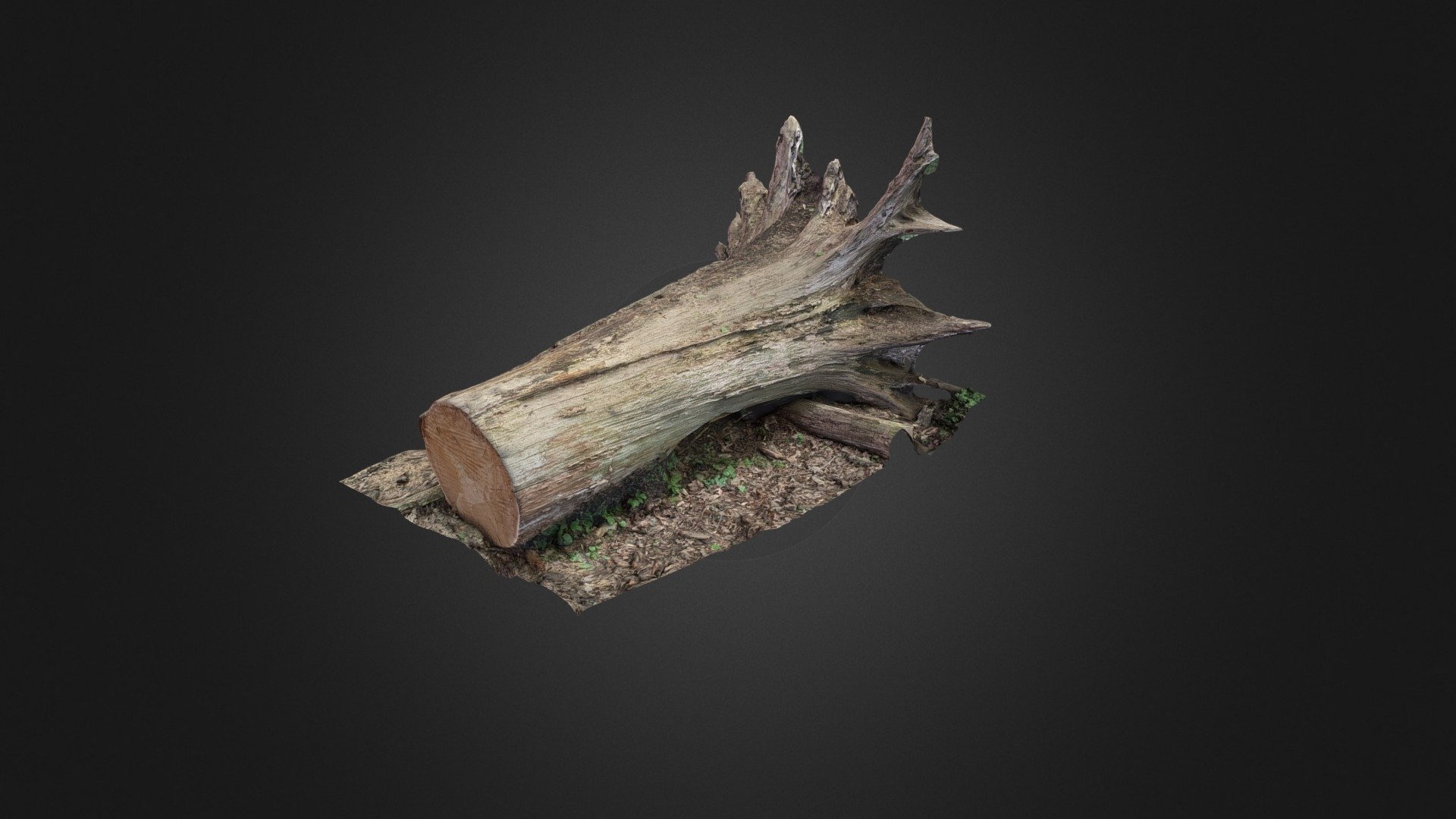 Tree - Download Free 3D model by Mohammad Reza Abdollahi (@mhmdrza ...