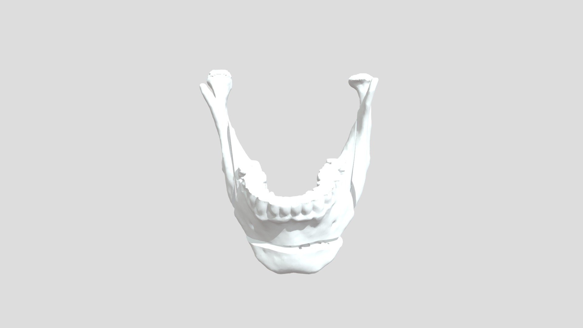Mandible.stl - Download Free 3D model by jamiewilkinson [d301e11 ...