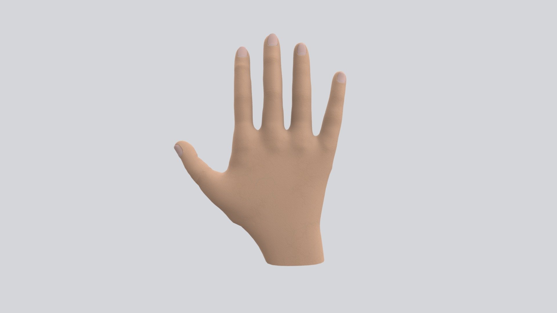 Realistic Right Hand - 3D model by RachelEve [d312987] - Sketchfab