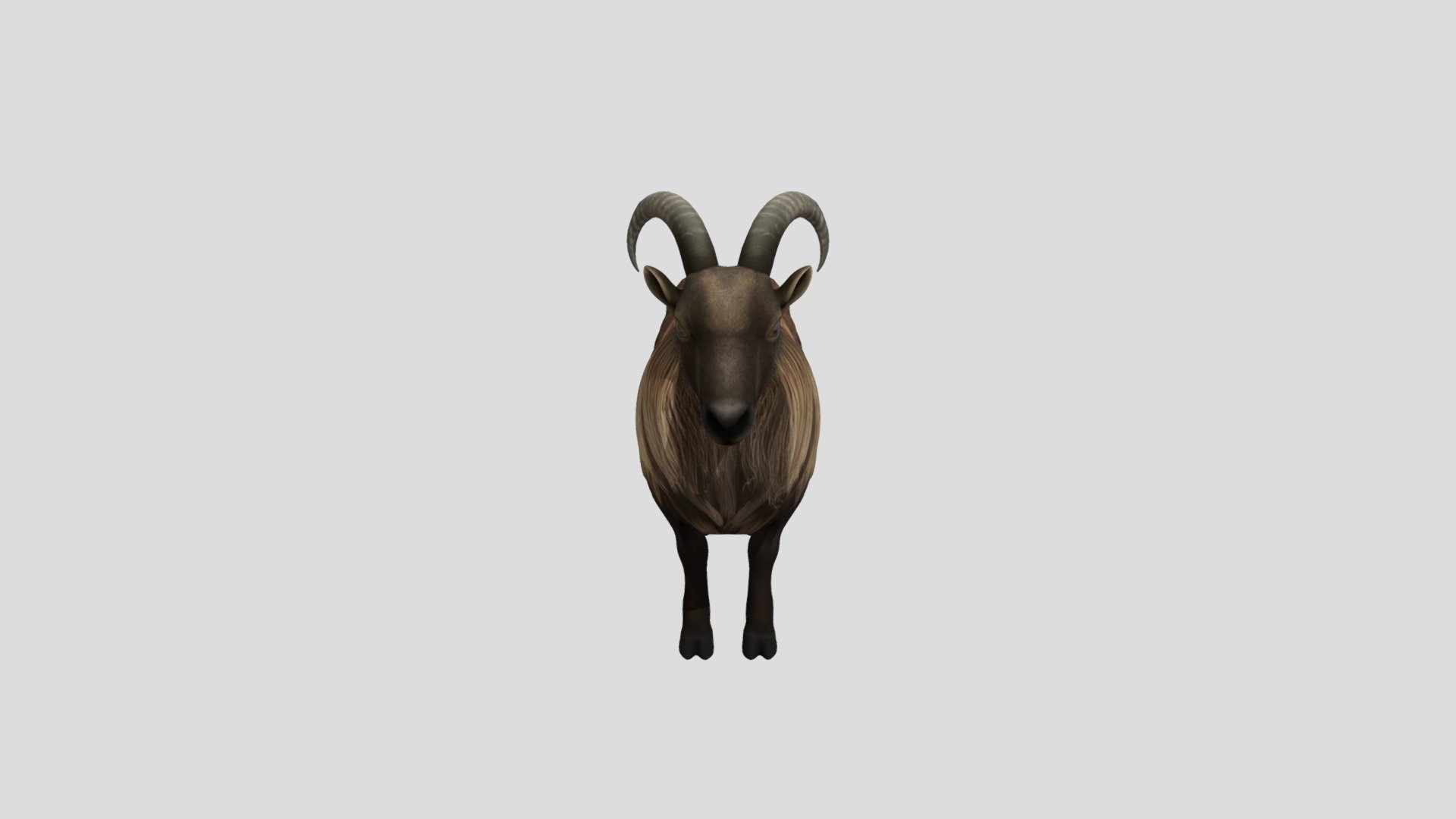 ram - Download Free 3D model by neighbor (@kylekip) [d3172a9] - Sketchfab