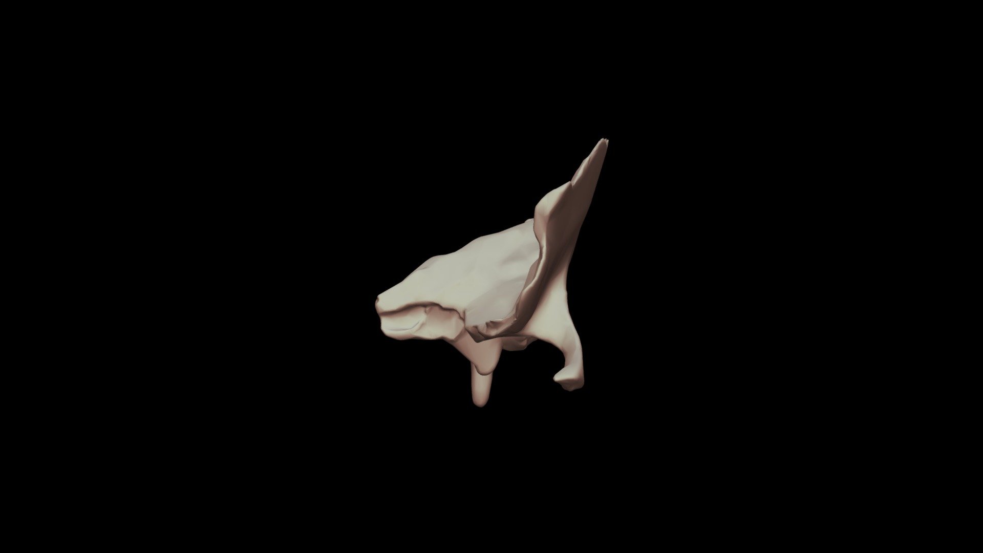 Hueso temporal. - 3D model by Juan I. Cruz R. Smart Anatomy ...