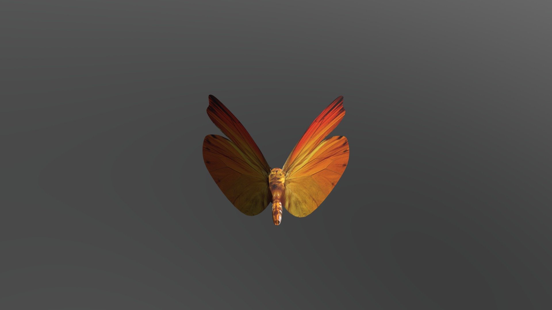 Butterfly Animation - Download Free 3D model by TOKUYOMI [d323933 ...