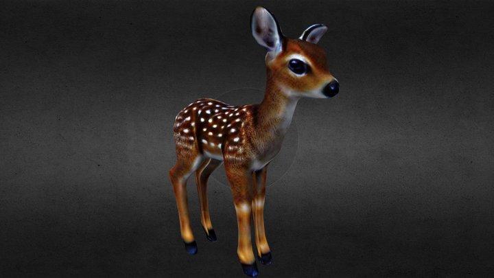 Fawn 3D models - Sketchfab