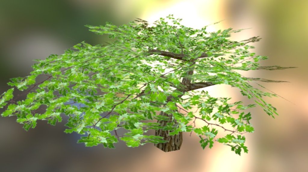 Derevo - 3D model by diablofaro [d32cecf] - Sketchfab