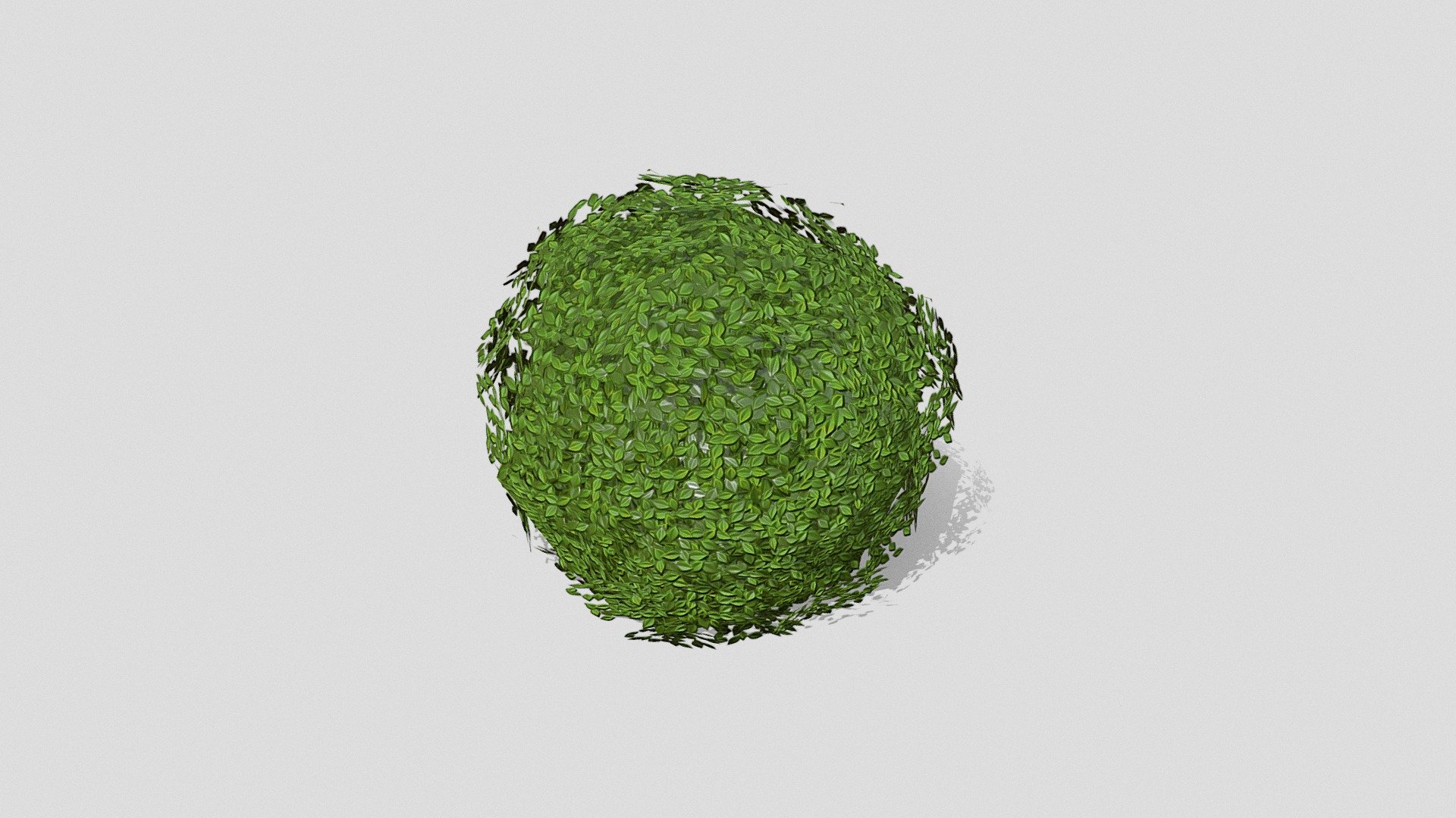 Low poly Bush (Buxus) - Download Free 3D model by arekusandoru.kurobe [d3383bb] - Sketchfab