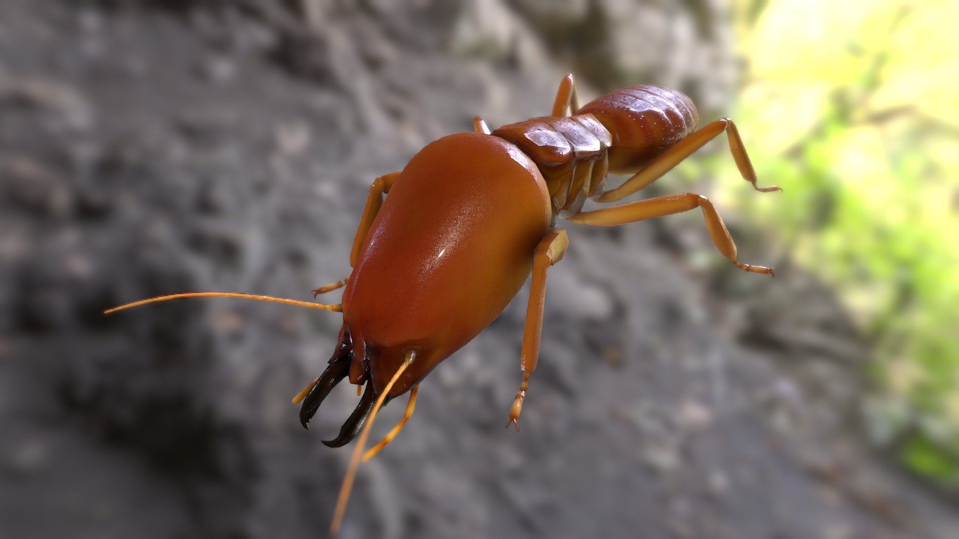 Termite_Soldier - Buy Royalty Free 3D model by Boycraft [d33d631 ...