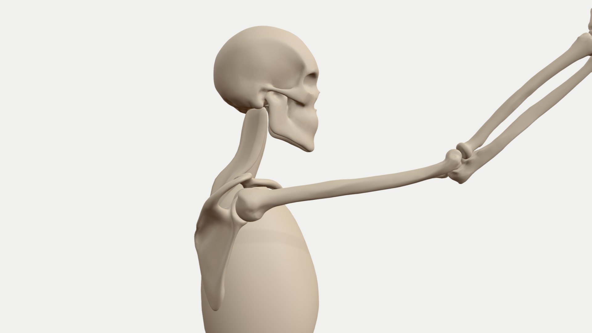 shoulder flexion animated skeleton - 3D model by pearsetoomey [d33e4db ...