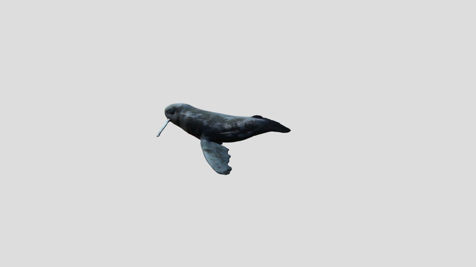 Fantastical Sea Creature - 3D model by lefreakshows [d34192f] - Sketchfab