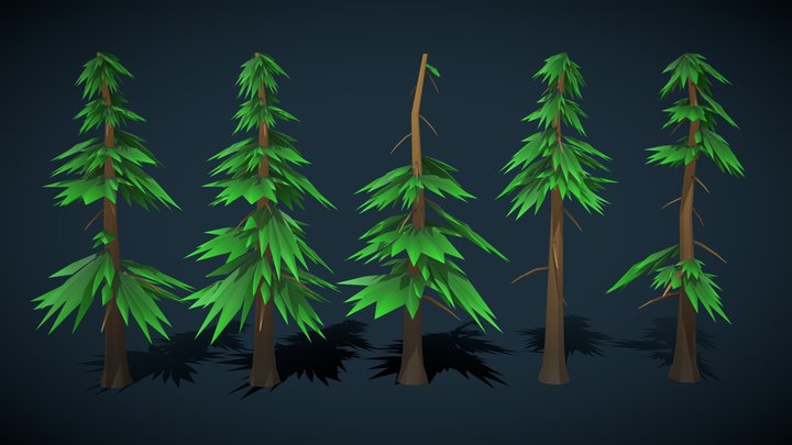 Pinetree 3D models - Sketchfab