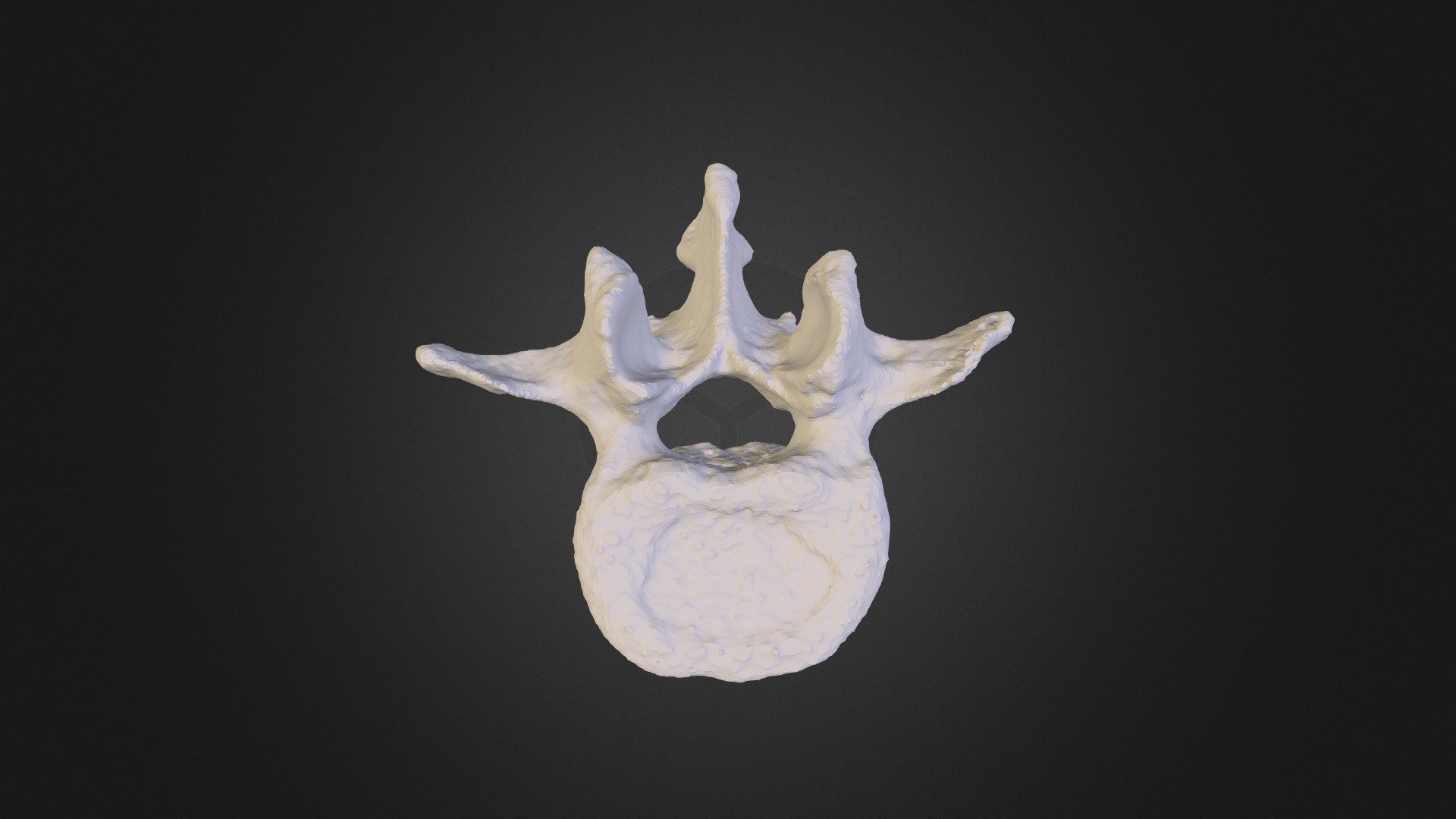 L3 vertebral body - 3D model by drhughharvey [d34d50e] - Sketchfab