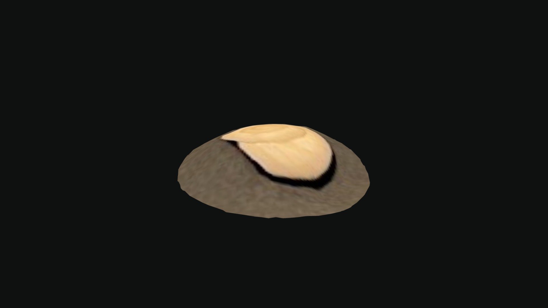 Little Shell - Download Free 3D model by Shimer3DGEO [d3588c2] - Sketchfab