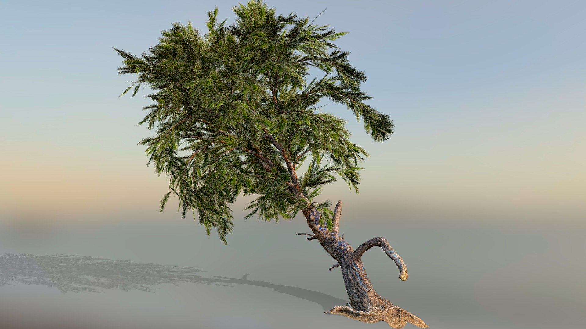 Rigged, Animated Cinematic Quality Tree 3 - Download Free 3D model by ...
