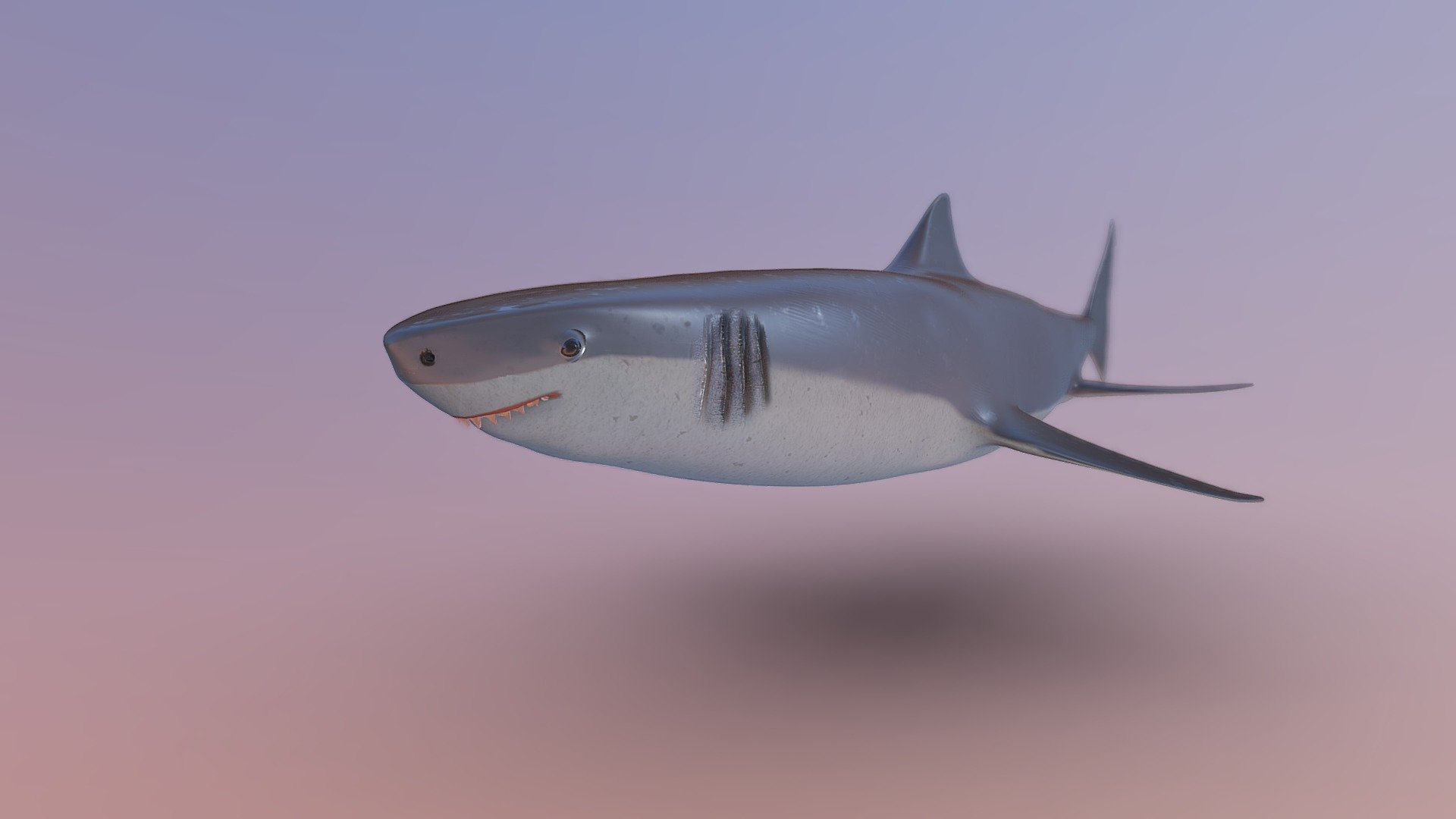 shark 2 - 3D model by bhavesh123 [d35cd94] - Sketchfab